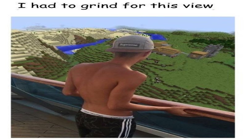 I Had to Grind For This View | Know Your Meme