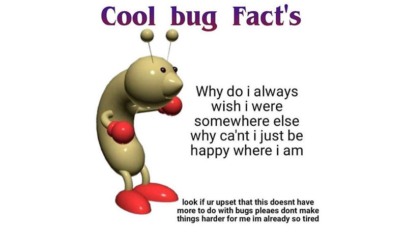Marcator R zboinic Glorios Cool Bug Facts Meme Fictiune Conversie Grind 