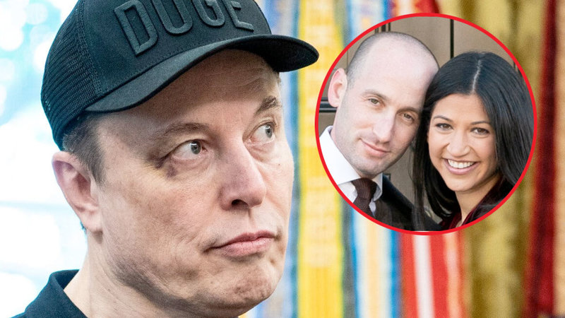 Elon Musk's Black Eye | Know Your Meme