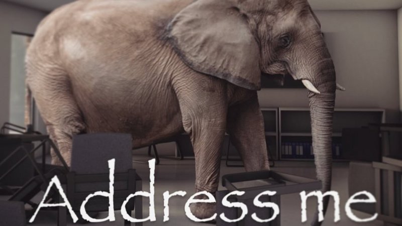 "Address Me" Elephant | Know Your Meme