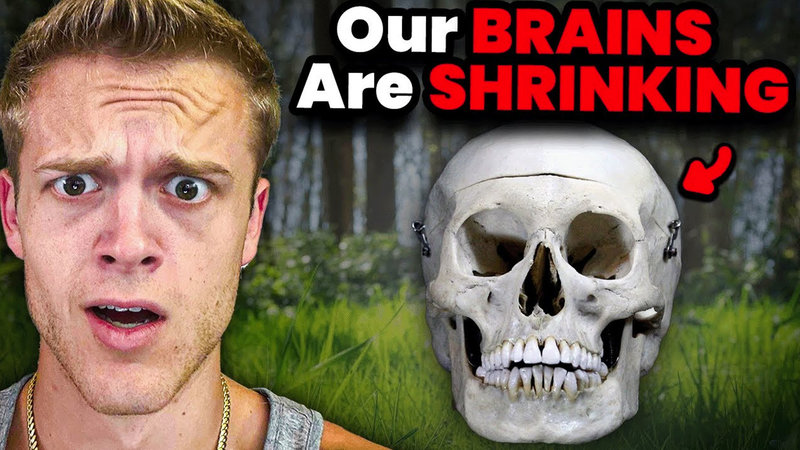 Our Brains Are Shrinking | Know Your Meme