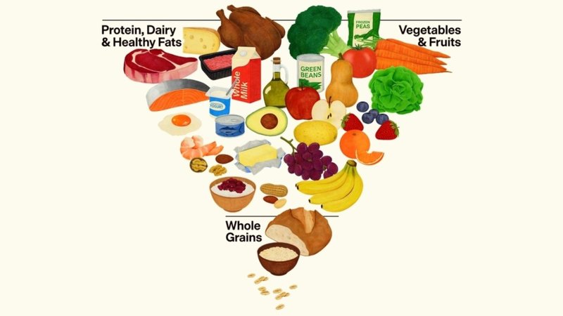 RFK Jr.'s Inverted Food Pyramid | Know Your Meme