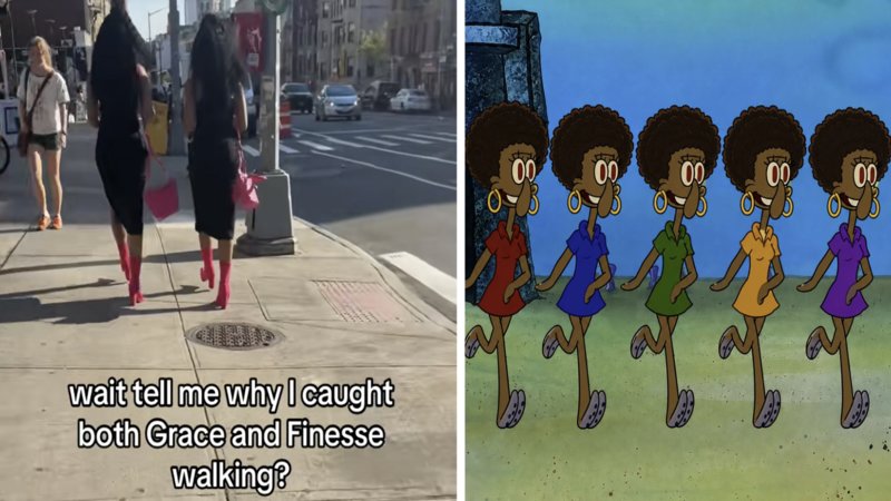 Grace and Finesse | Know Your Meme