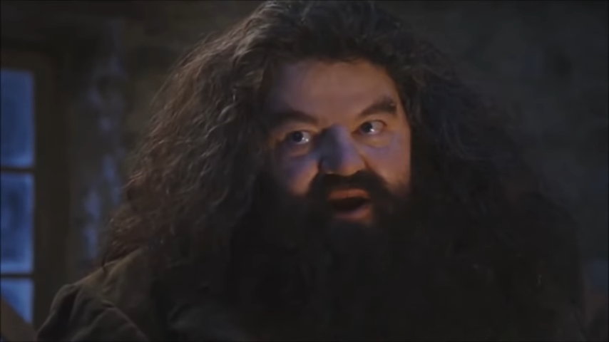 You re A Wizard Harry Know Your Meme