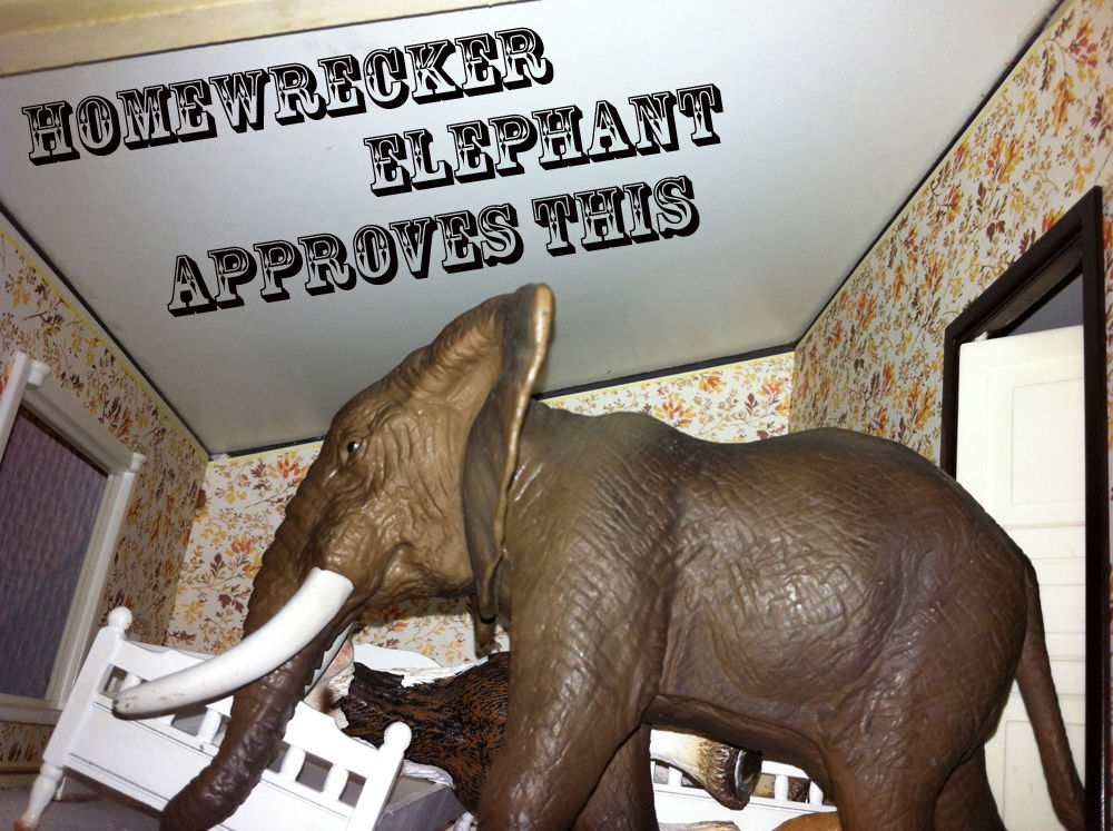 Engangskameraten: Trending Images Gallery (List View) | Know Your Meme