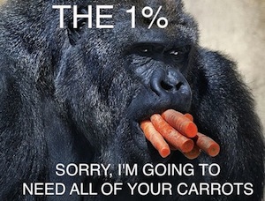 The 1% | Know Your Meme