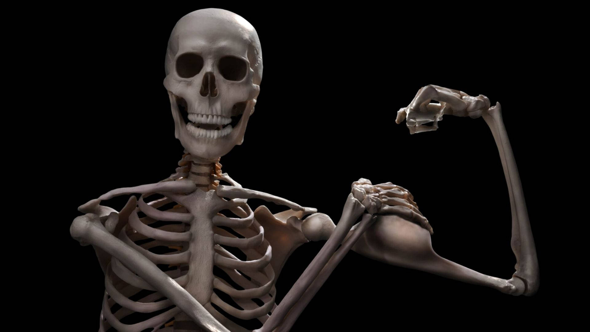 Skeletons Know Your Meme
