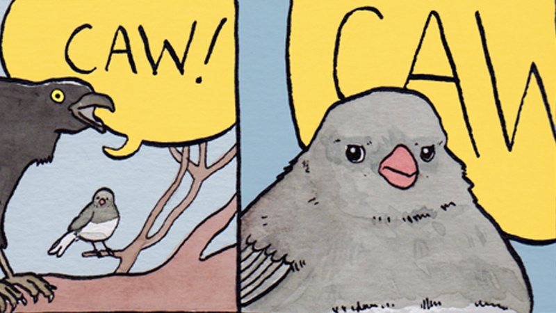 Annoyed Bird Know Your Meme