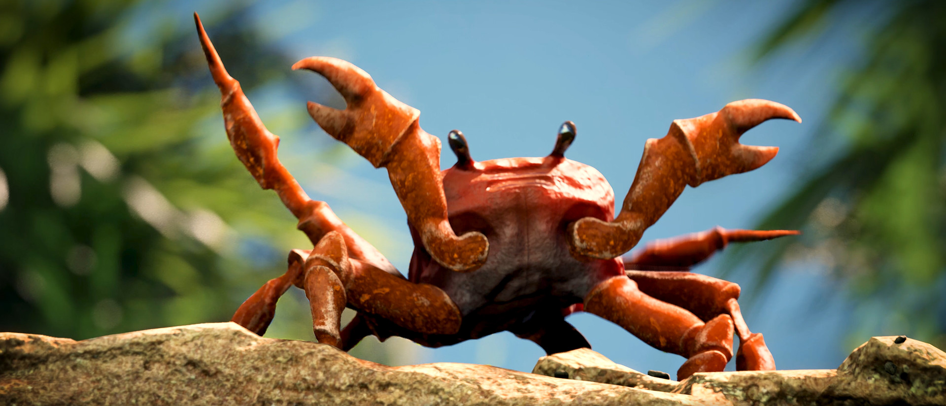 Crab Rave Know Your Meme
