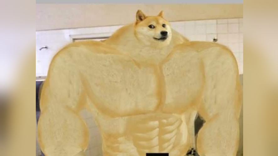 Swole Doge Know Your Meme