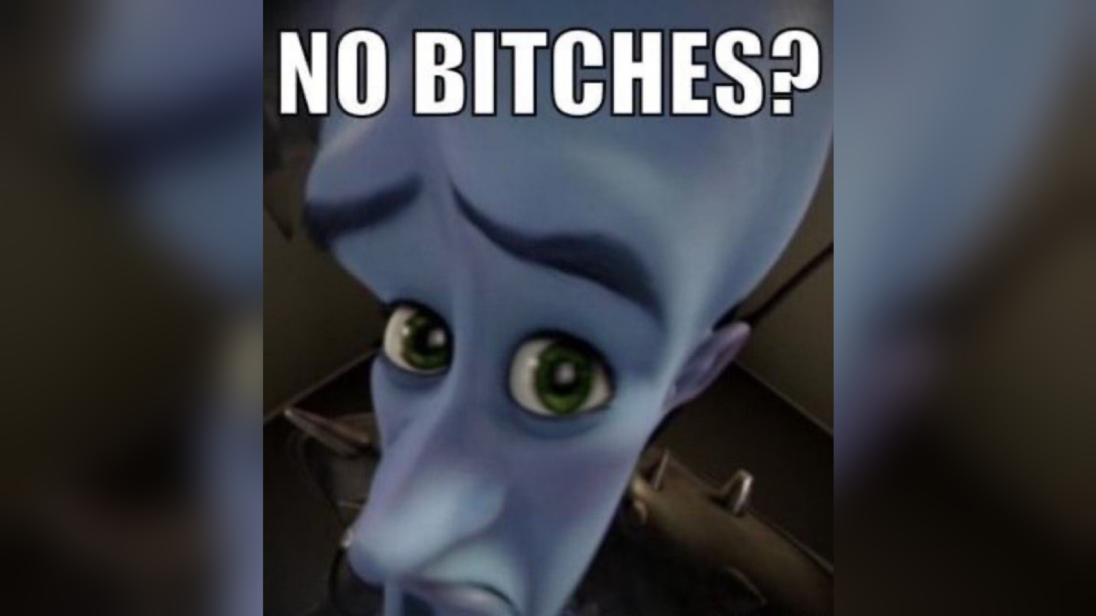 No Bitches Know Your Meme