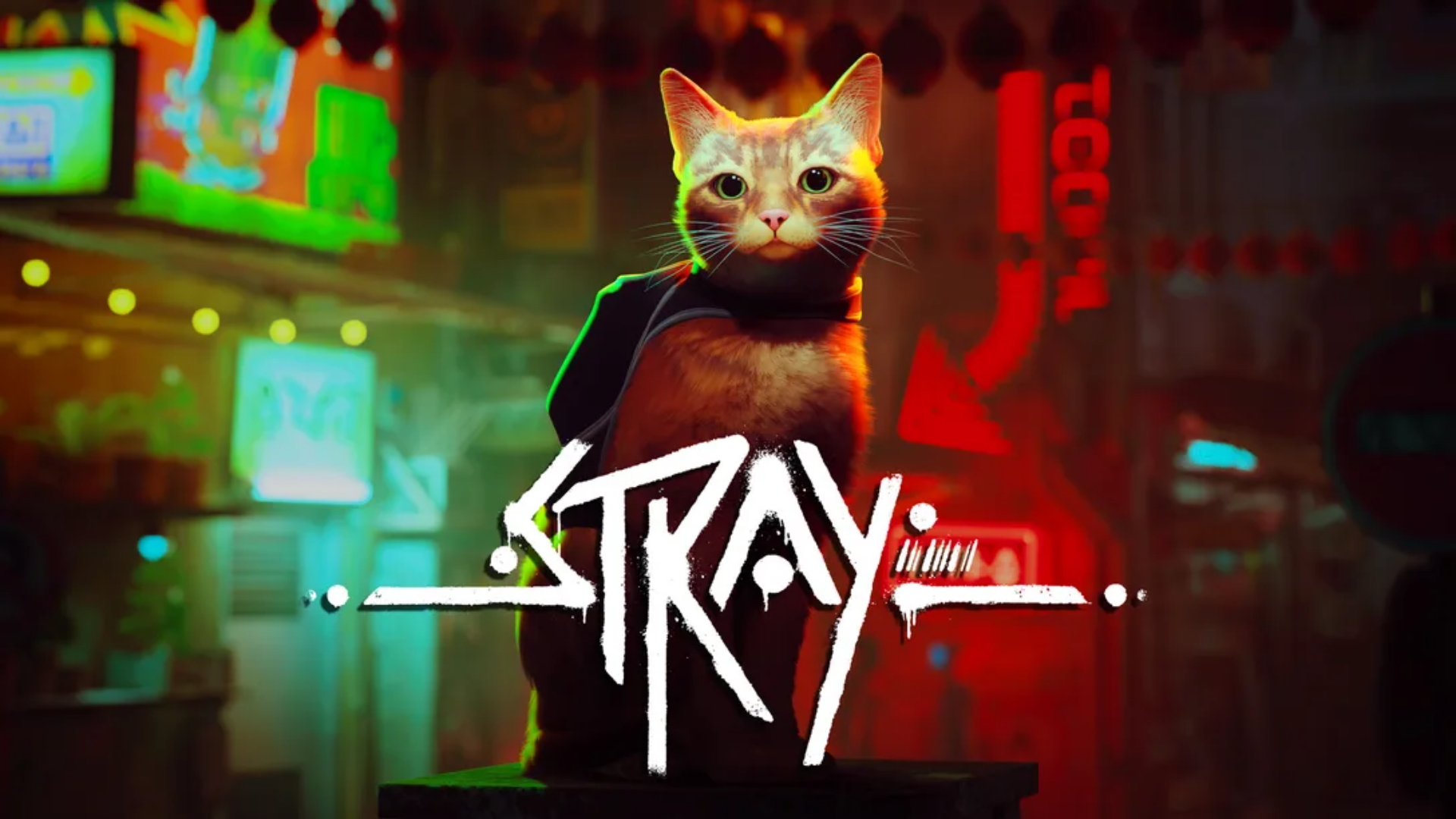 Stray Video Game Know Your Meme
