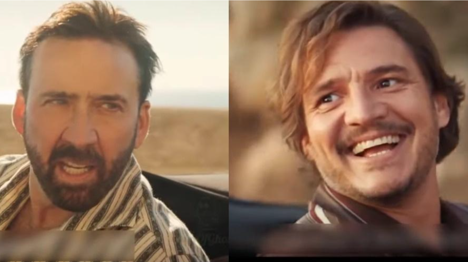 Pedro Pascal Nicolas Cage Meme Song