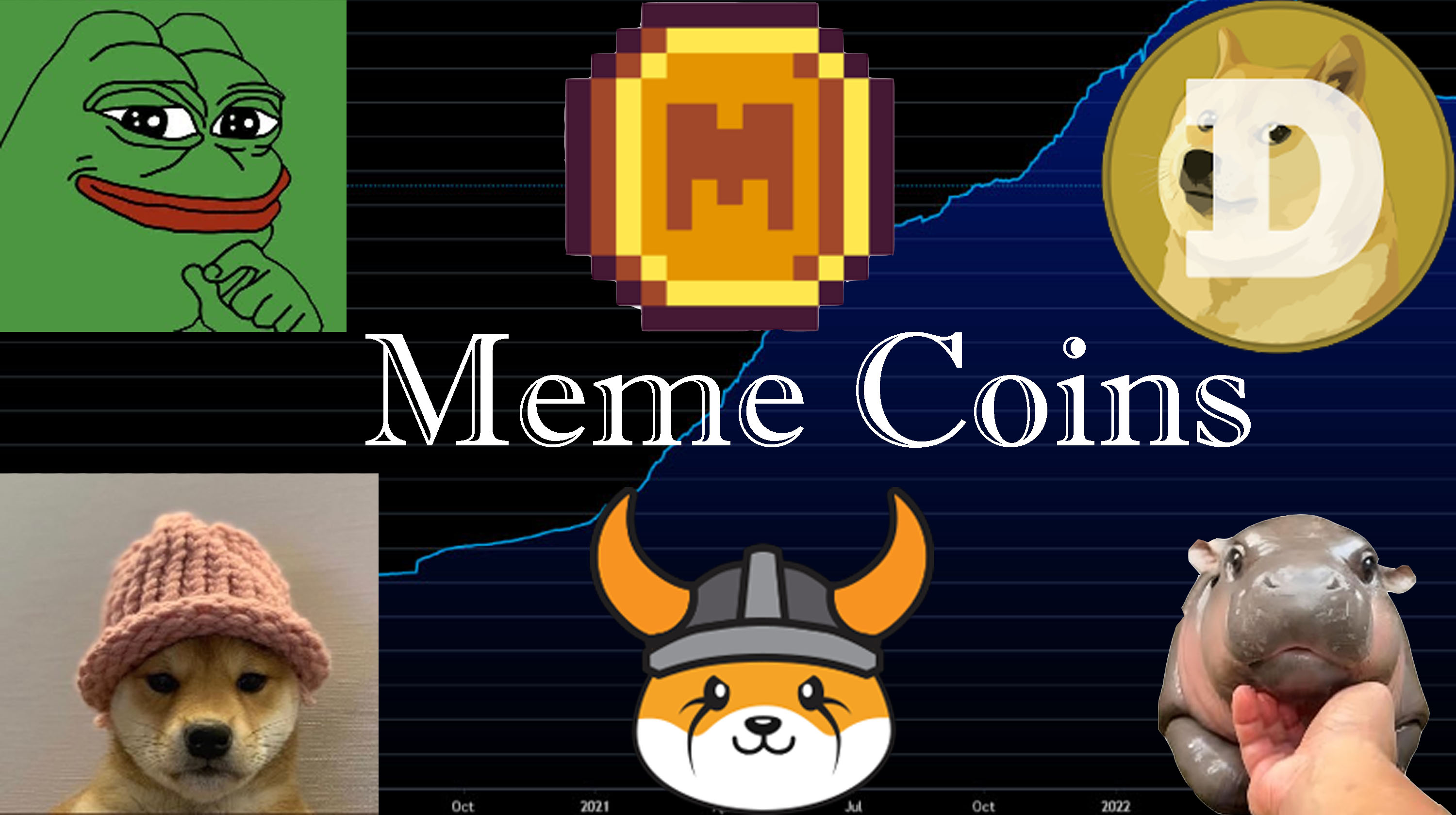 Meme Coins Video Gallery Know Your Meme