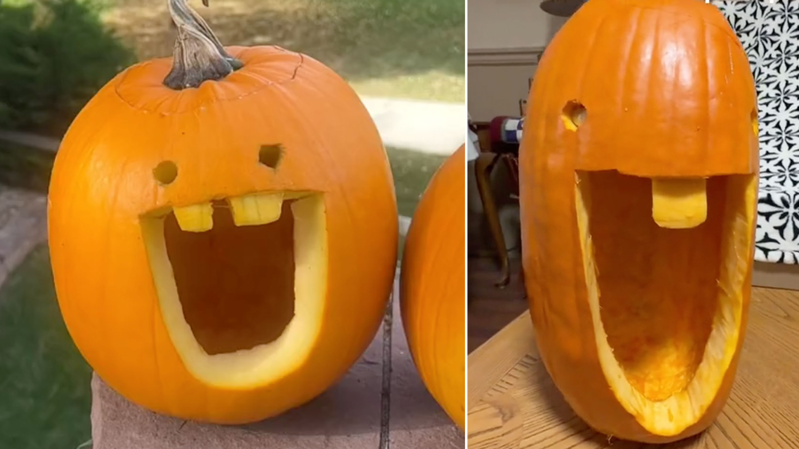 Dumb Ahh Pumpkin Video Gallery Know Your Meme