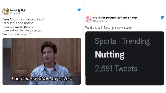 Nutting Trends On Twitter, Leading To Memes, Confusion And Shock Among ...