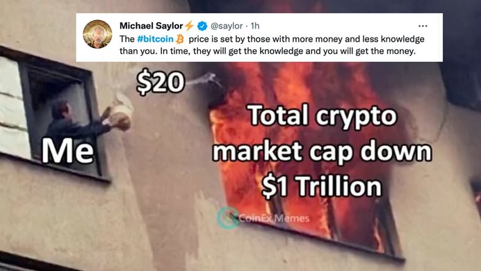 Bitcoin Crashes But Cryptocurrency Memes Soar | Know Your Meme