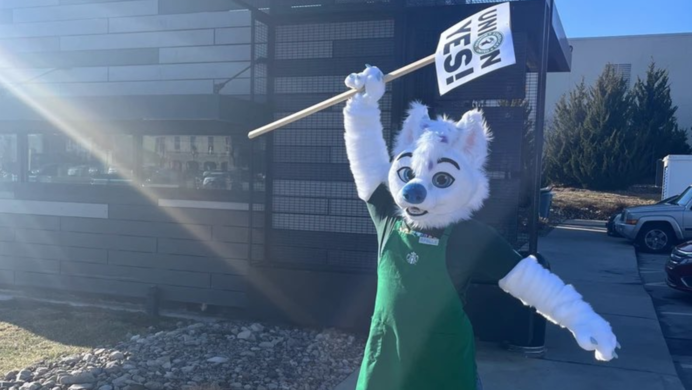 Furry Becomes Face Of Starbucks Workers' Unionization Effort Online ...