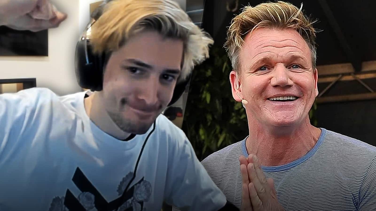 Gordon Ramsay Asks WTF Is Twitch? Finds Out | Know Your Meme Gordon Ramsay Asks WTF Is Twitch? Finds Out | Know Your Meme