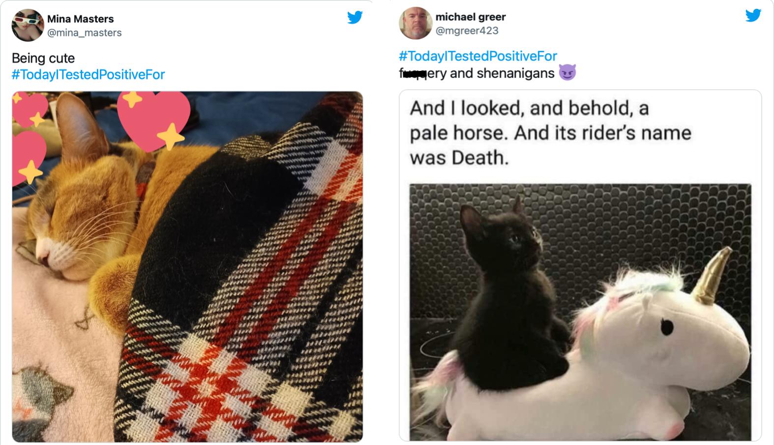 SOON | Know Your Meme