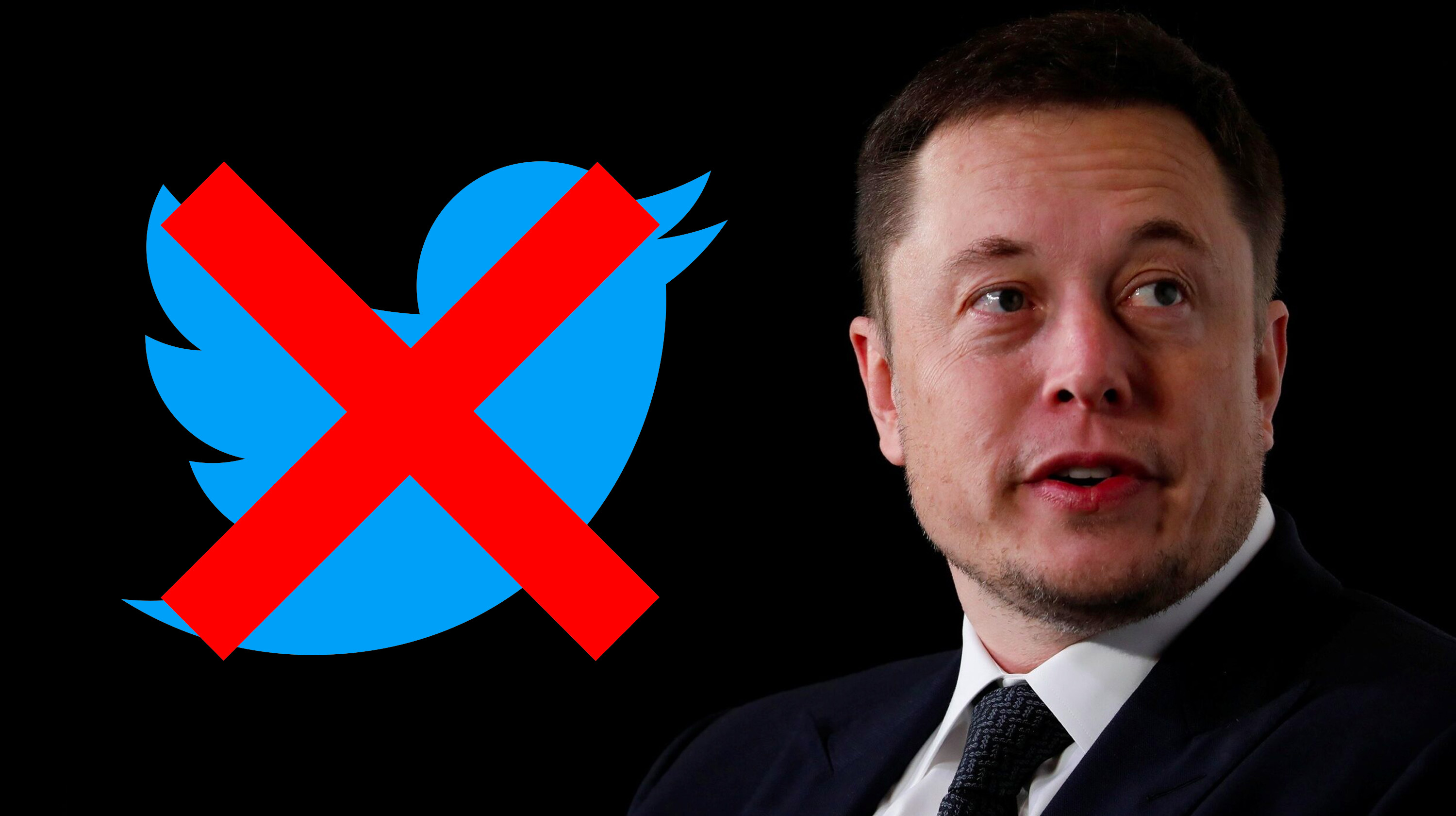 Elon Musk Has Hinted At Replacing Twitter, Either Buying It Or Creating ... Elon Musk Has Hinted At Replacing Twitter, Either Buying It Or Creating ...