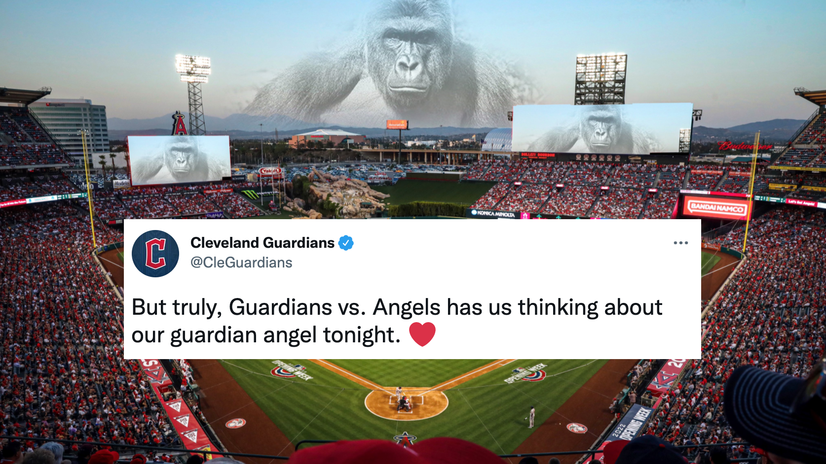 Cleveland Guardians Post Harambe Meme, Much To Chagrin Of Cincinnati ...