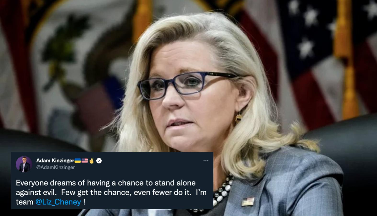 Liz Cheney Battles Negative Memes And Her Own Party In Tuesday's ...