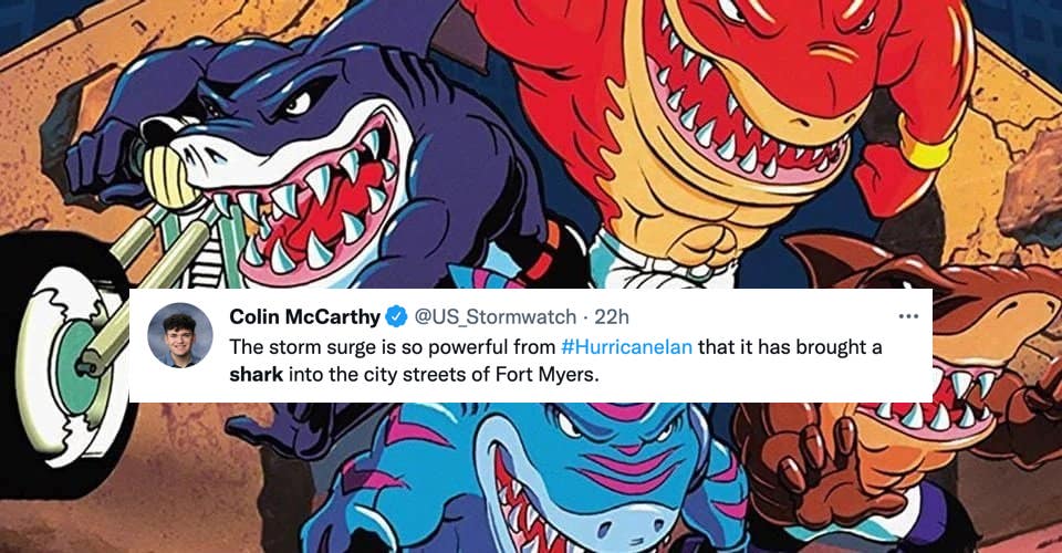 The 'Street Shark' Hoax Is Back For Hurricane Ian, But Some Hope Video ...