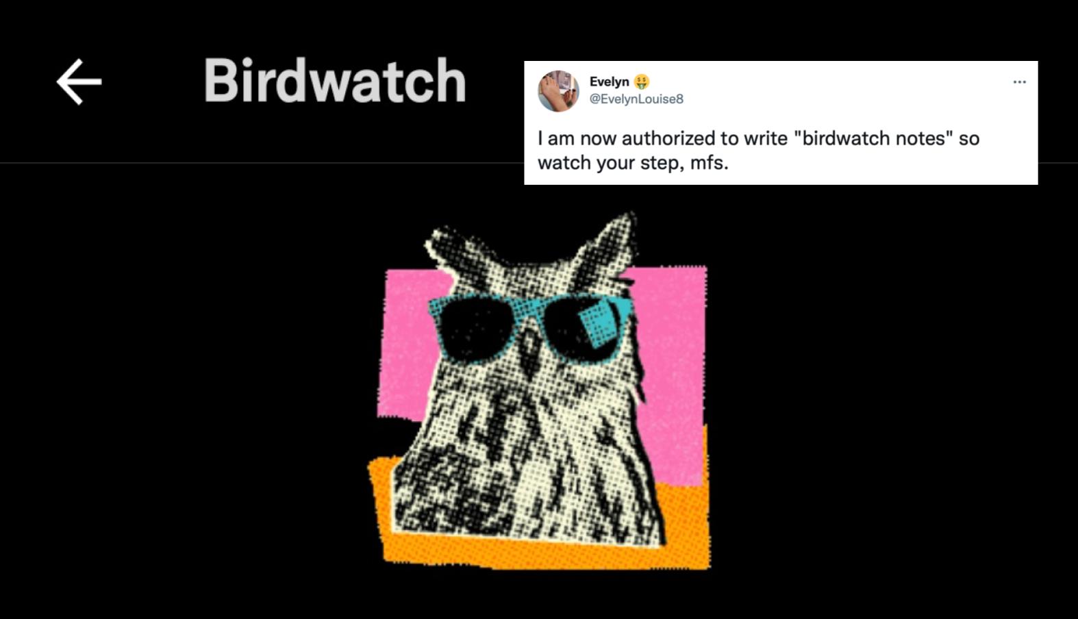 Twitter Birdwatch Feature Rolls Out To More Users, Allowing Posters To ...