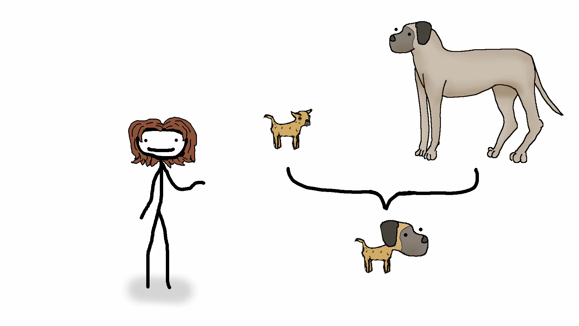 Top Stick Figure Guy In Edutainment, Sam O'Nella Returns To YouTube ...
