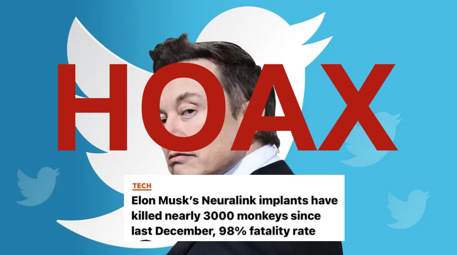 Hoax Claims Neuralink Killed 98% Of Tested Monkeys, Which Isn't Too Far ...