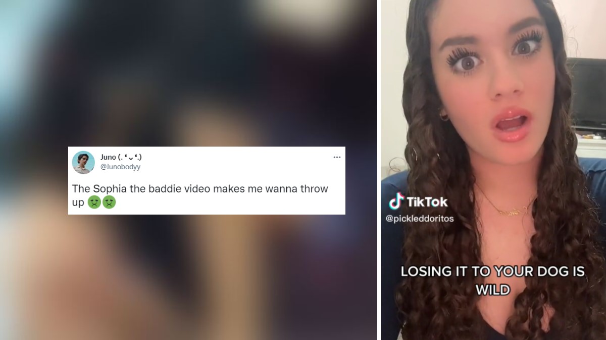 The True Tale Behind The Sofia The Baddie Video That s Been Dogging