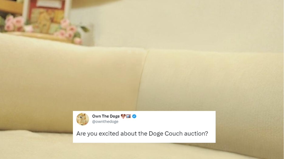 The Iconic doge Meme Couch Is Being Auctioned Off via pleasrdao | Know ...