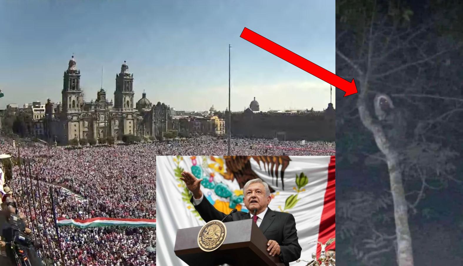 Mexico president amlo alux elf protest Mayan | Know Your Meme