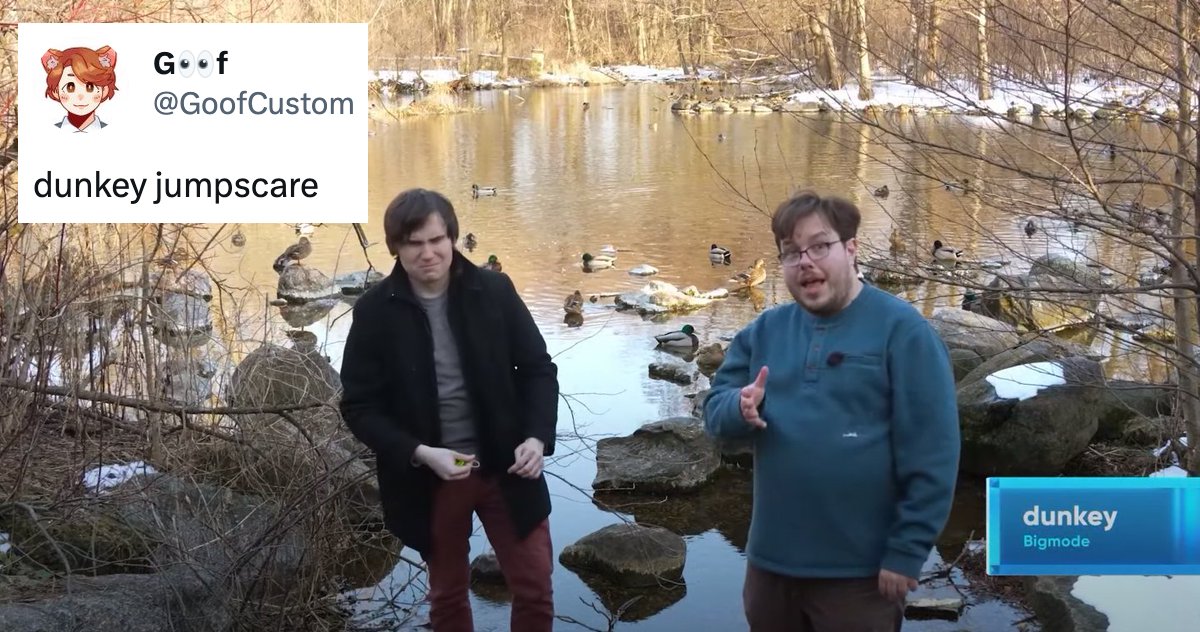 Videogamedunkey Jumpscares Nintendo's Indie Direct Viewers | Know Your Meme