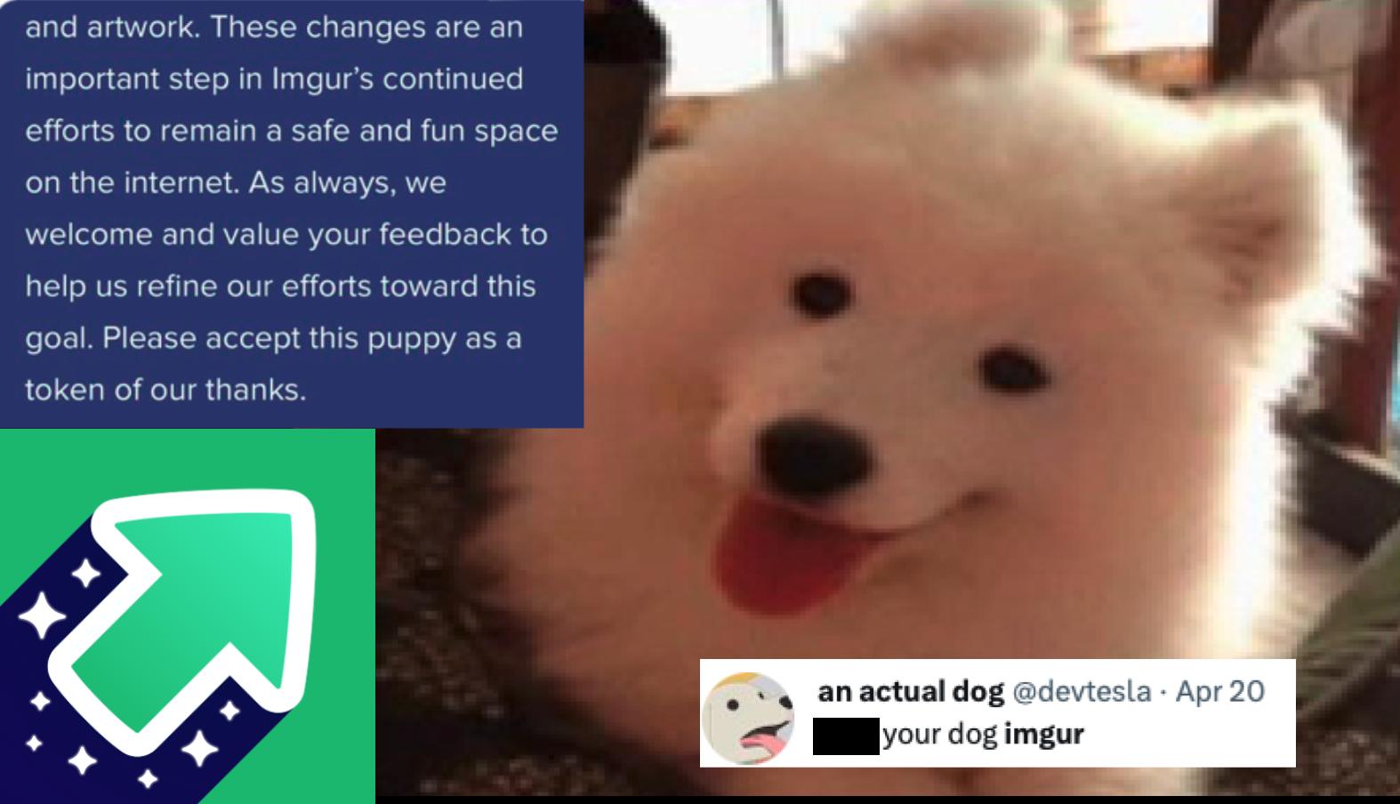 Imgur Schedules Mass Deletion Of Adult And Inactive Content On May 15