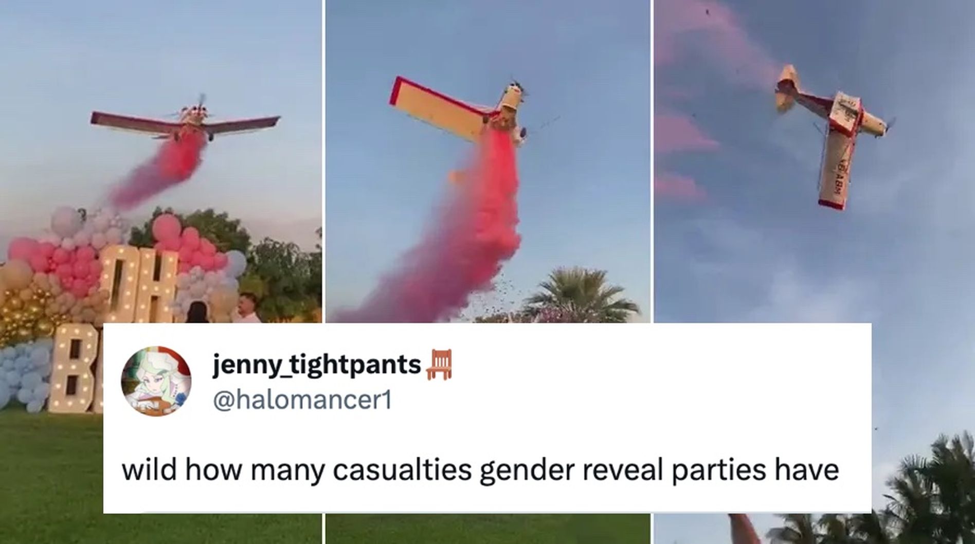 Pilot Dies After Plane Crash In Yet Another Gender Reveal Disaster ...