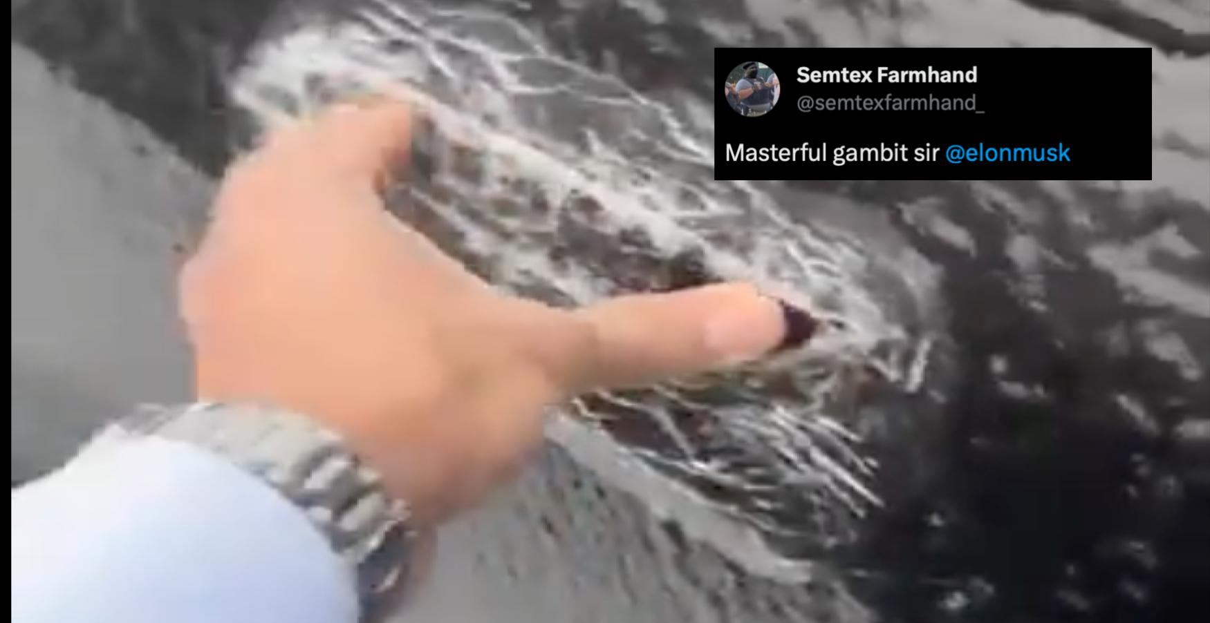 'Masterful Gambit, Sir:' Tesla Owners Post About Cold Temperatures And ...