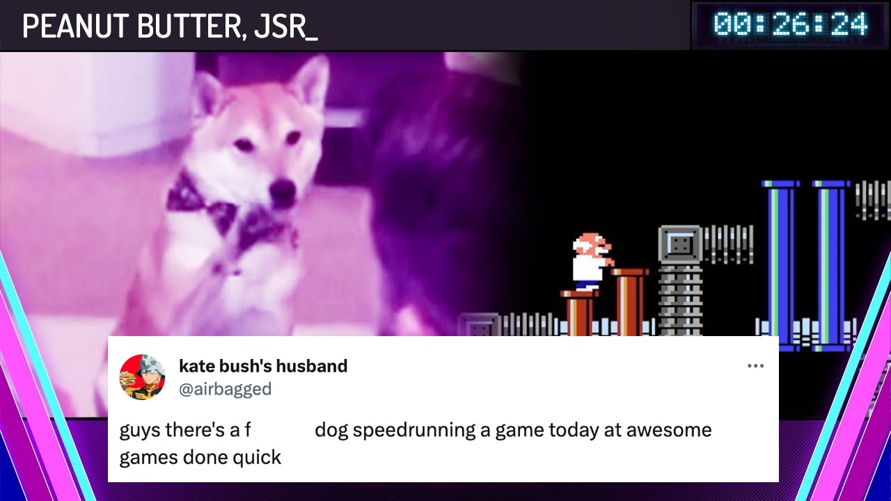 Peanut Butter the Dog Plays Video Game Very Fast At AGDQ | Know Your Meme