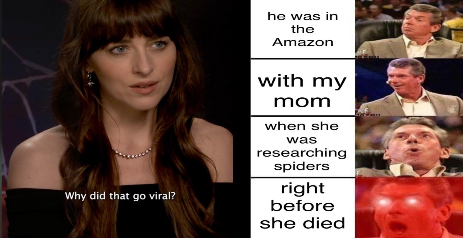 Dakota Johnson Refuses To Understand Viral 'Madame Web' Meme | Know ...