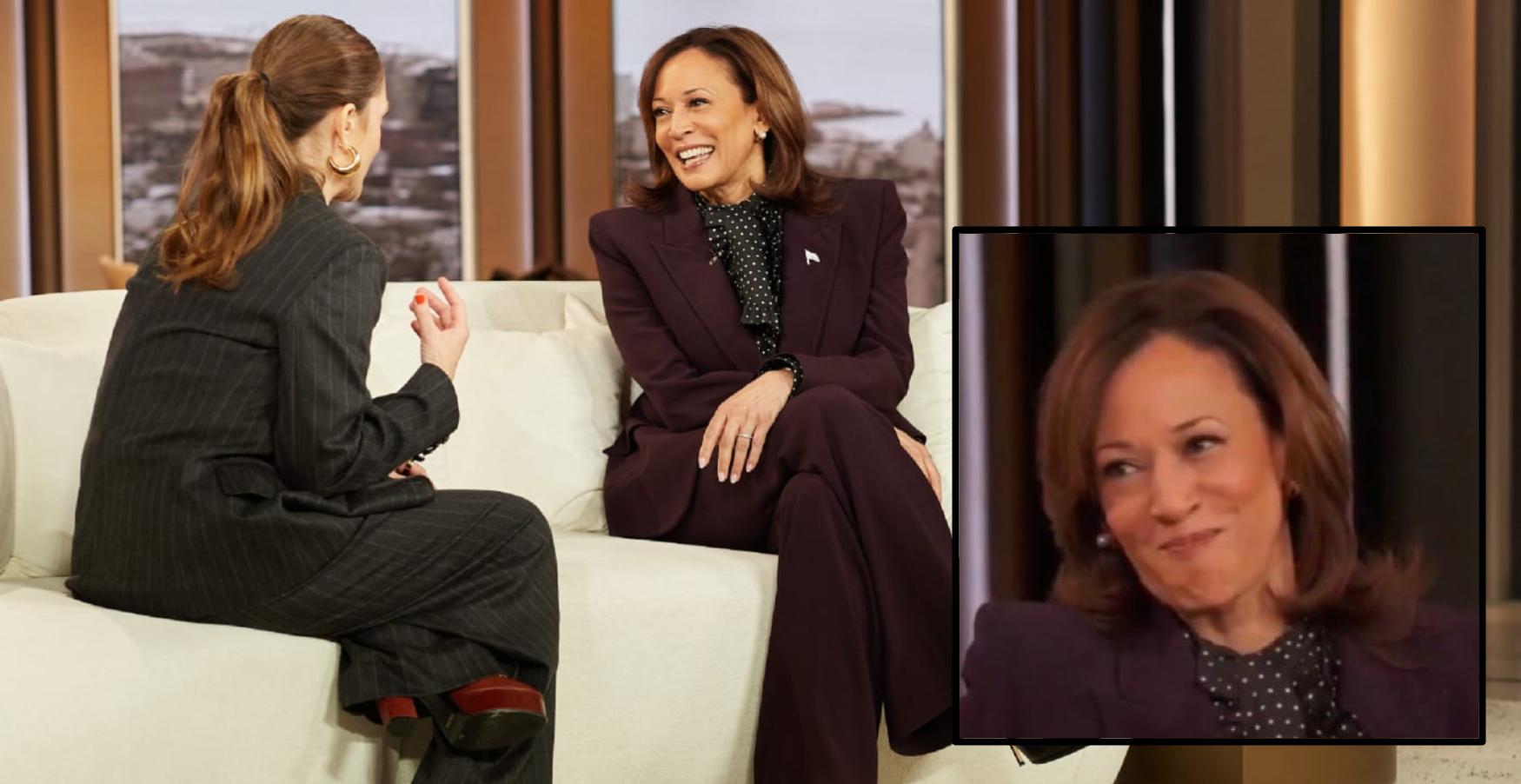 Kamala Harris Appears To Cringe As Drew Barrymore Calls Her 'Momala ...