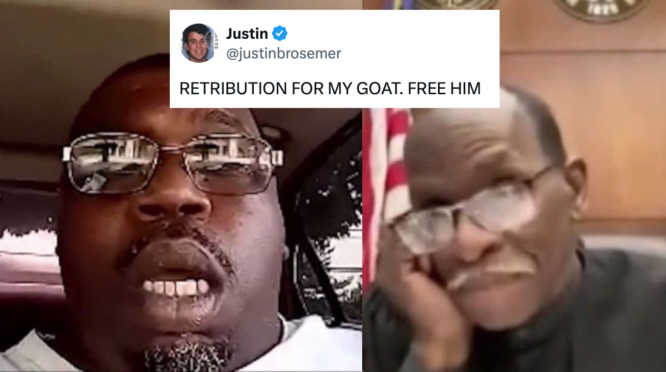 Corey Harris, Who Went Viral For Zooming Into His 'Suspended License ...