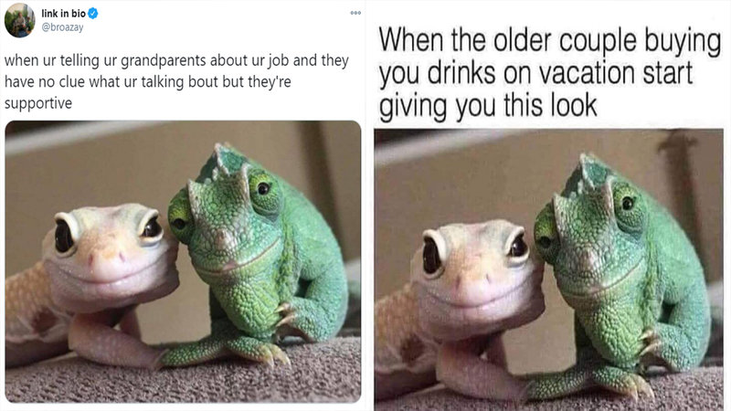 Smiling Lizards Remind Everyone Of A Happy Older Couple, Become An ...