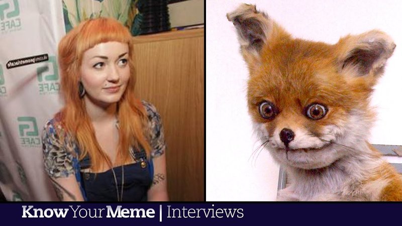 See How 'Stoned Fox' Went From Viral Meme To Russian Fugitive In Our ...