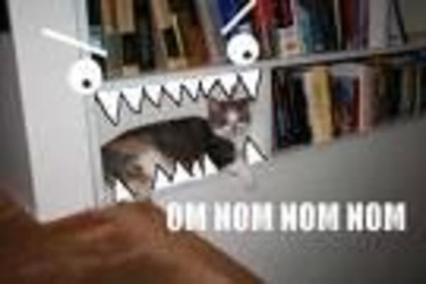 [Image - 211] | Om Nom Nom Nom | Know Your Meme