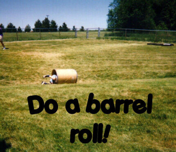 [Image - 250] | Do a Barrel Roll | Know Your Meme