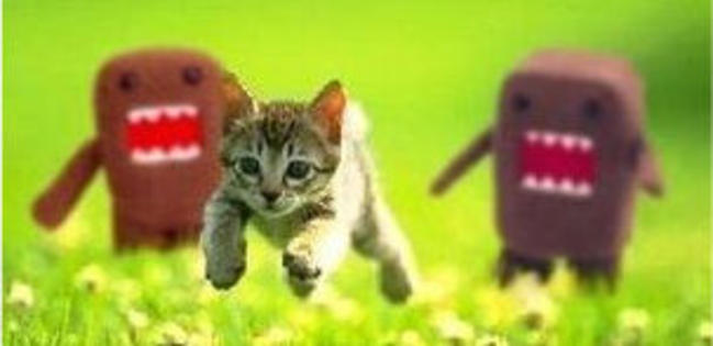 [Image - 270] | Domo | Know Your Meme