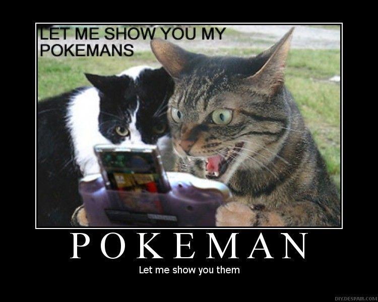 [Image - 1023] | Let Me Show You My Pokemans | Know Your Meme