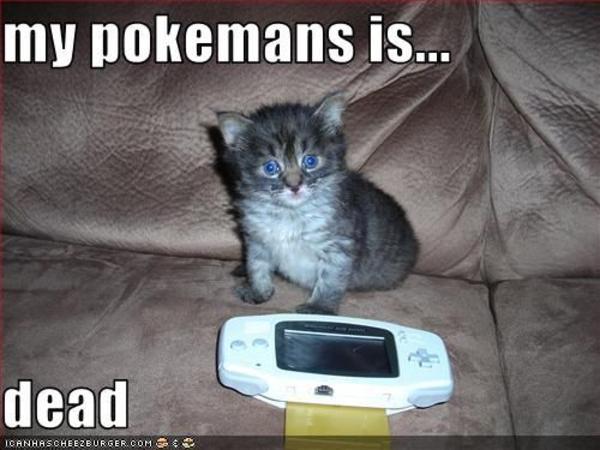 [Image - 1026] | Let Me Show You My Pokemans | Know Your Meme