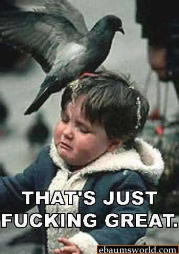 [Image - 1276] | Various Chat-pics | Know Your Meme